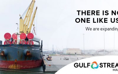Gulf Stream Marine | There is no one like us
